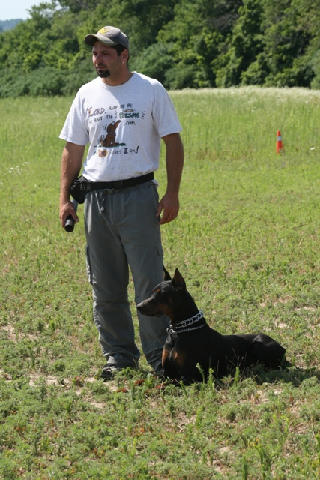 Working K9 Training