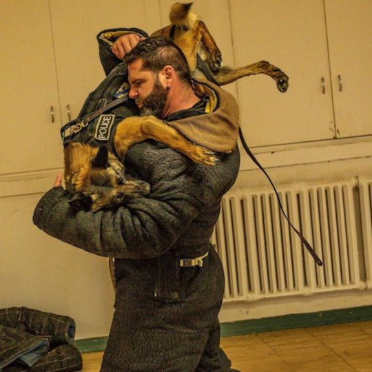 WELCOME TO WORKING K9.ca